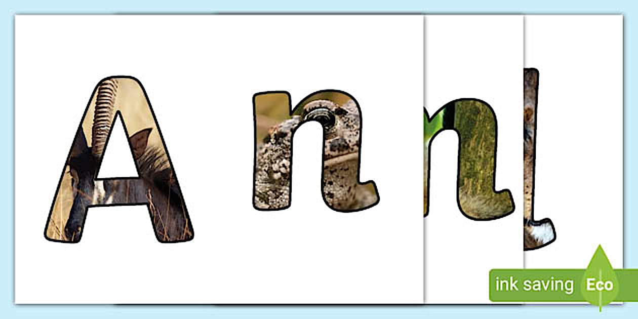 Editable Animals Title Photo Display Lettering - Twinkl