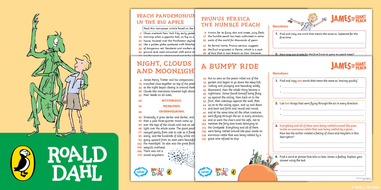 FREE! - ‘James and the Giant Peach’ Activities for KS2 | Twinkl