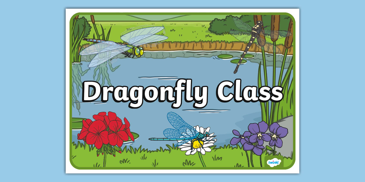 * NEW * Dragonfly Class Display Poster - Twinkl