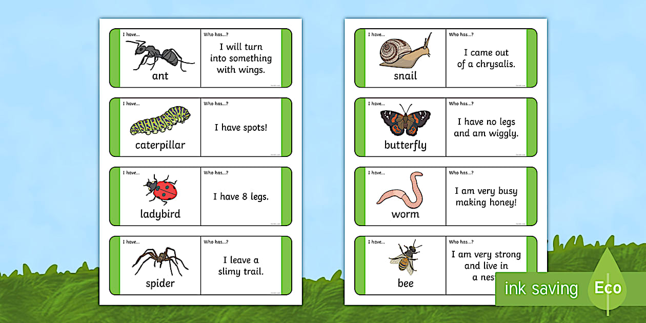 Editable Minibeasts Description Loop Cards (teacher made)
