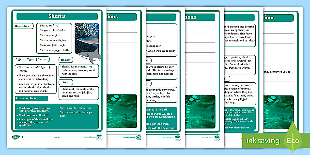 Sharks Differentiated Reading Comprehension - Twinkl