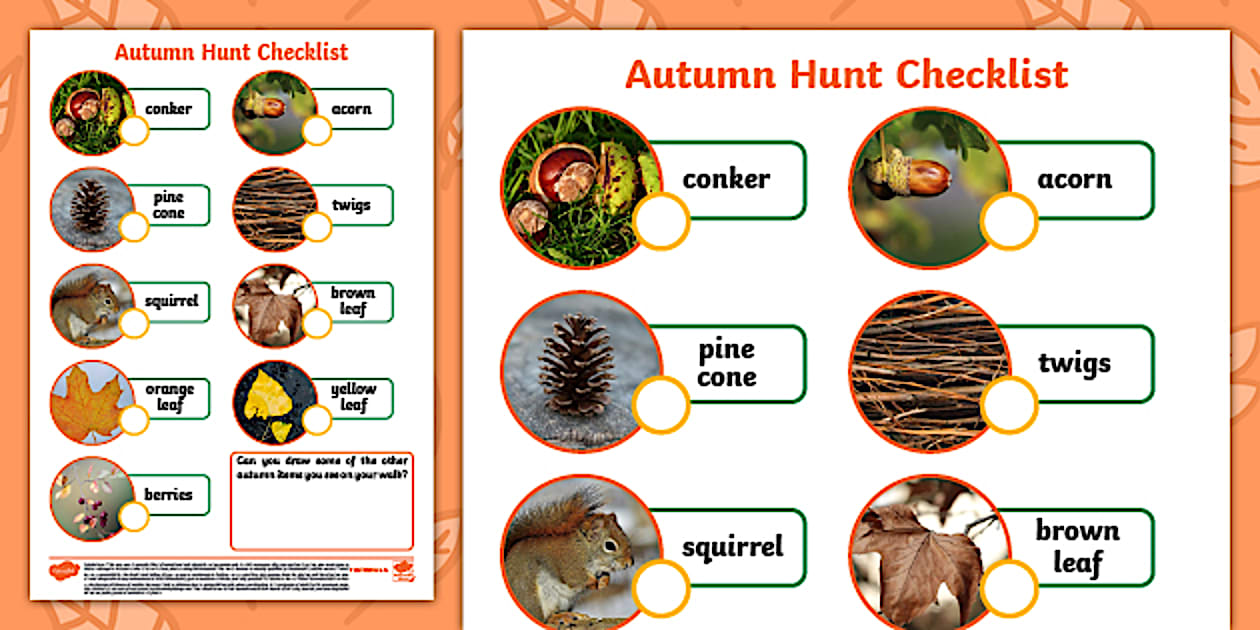 Autumn Spotter Sheet | Twinkl | Autumn | EYFS | Nature