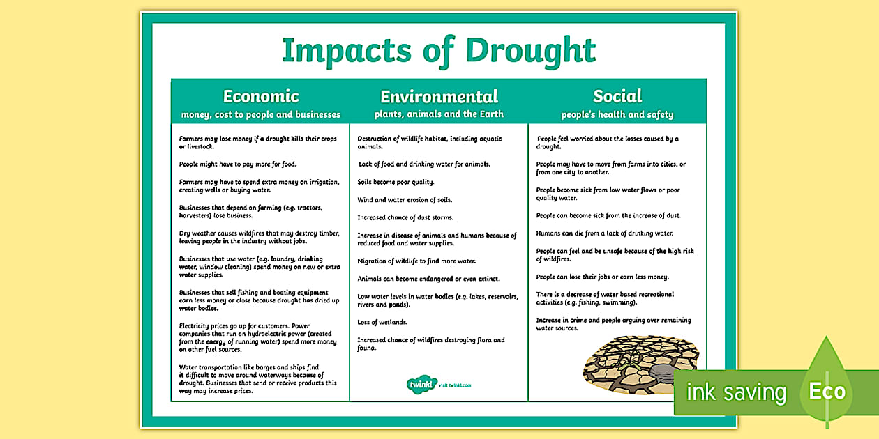 Impacts of Drought Large Information Poster (teacher made)