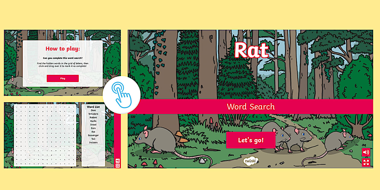 Interactive Rat Word Search | Twinkl Word Search | Rat Facts