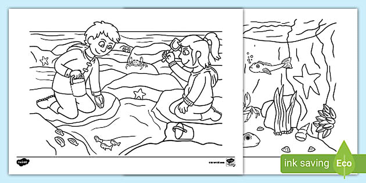 Rock Pool Colouring Sheets (teacher made) - Twinkl