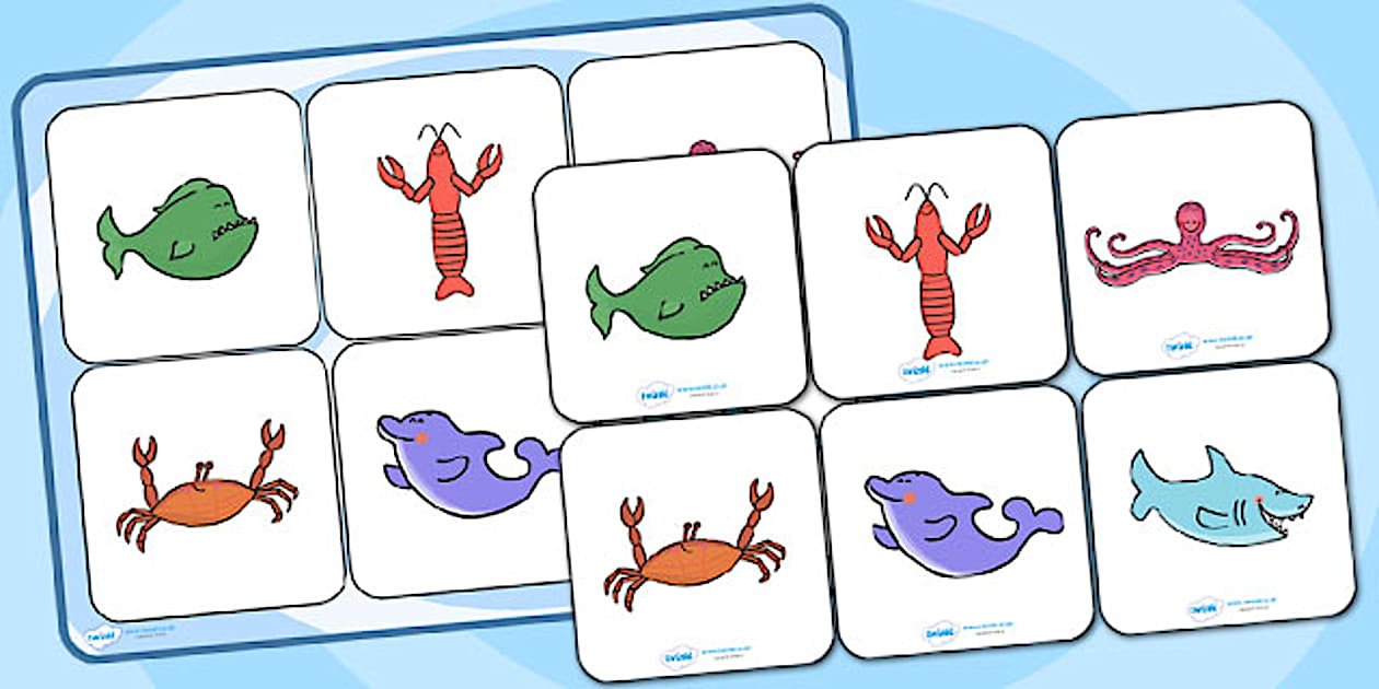 Matching Cards and Board Game | Ocean Games | Twinkl