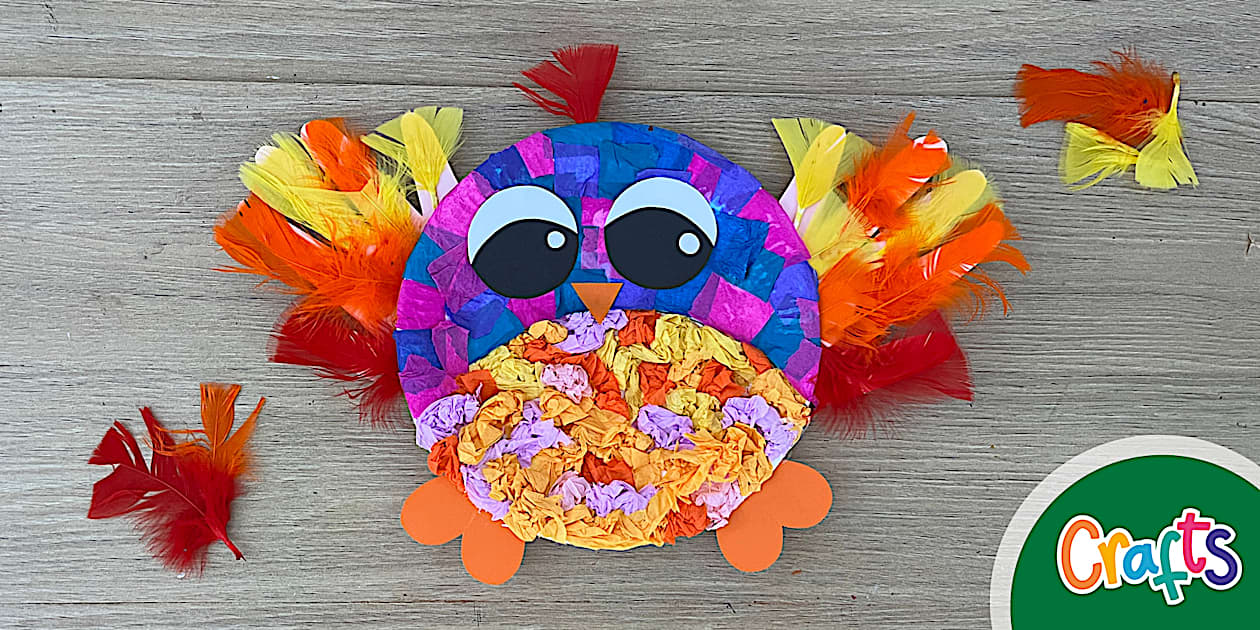 Paper Plate Bird Craft Activity (teacher made) - Twinkl