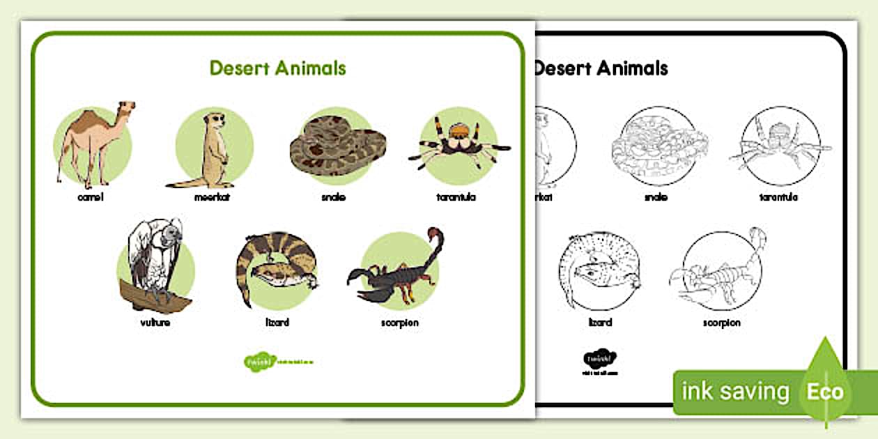 Desert Animals Habitat Word Mat (teacher made) - Twinkl