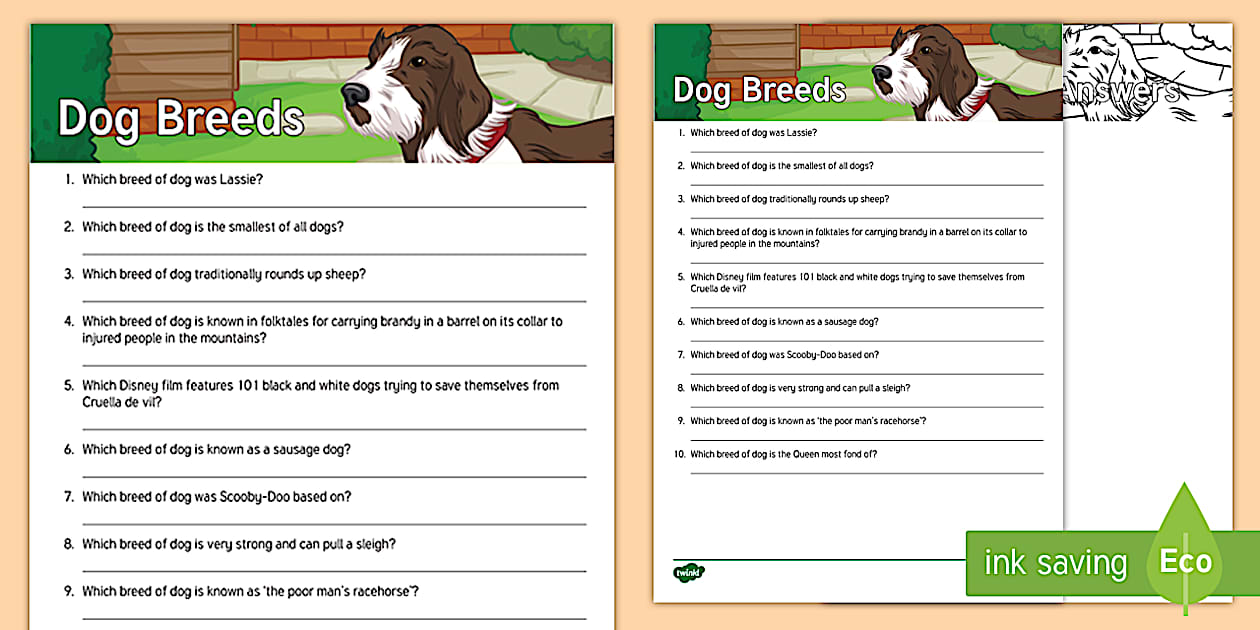 Dog Quiz Cards (teacher made) - Twinkl