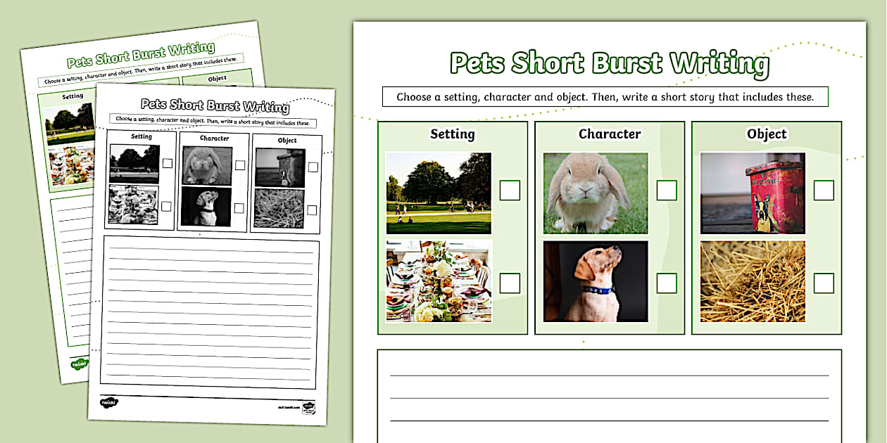 KS2 Pets Short Burst Writing Template (Teacher-Made)