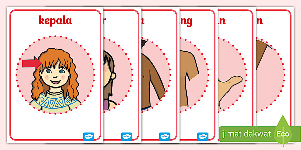 Poster Anggota Badan yang comel dan menawan - Twinkl