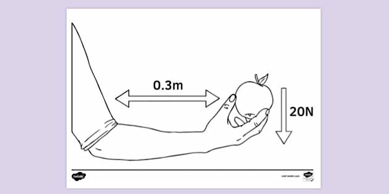 Arm Holding Apple Colouring Sheet | Colouring Sheet - Twinkl
