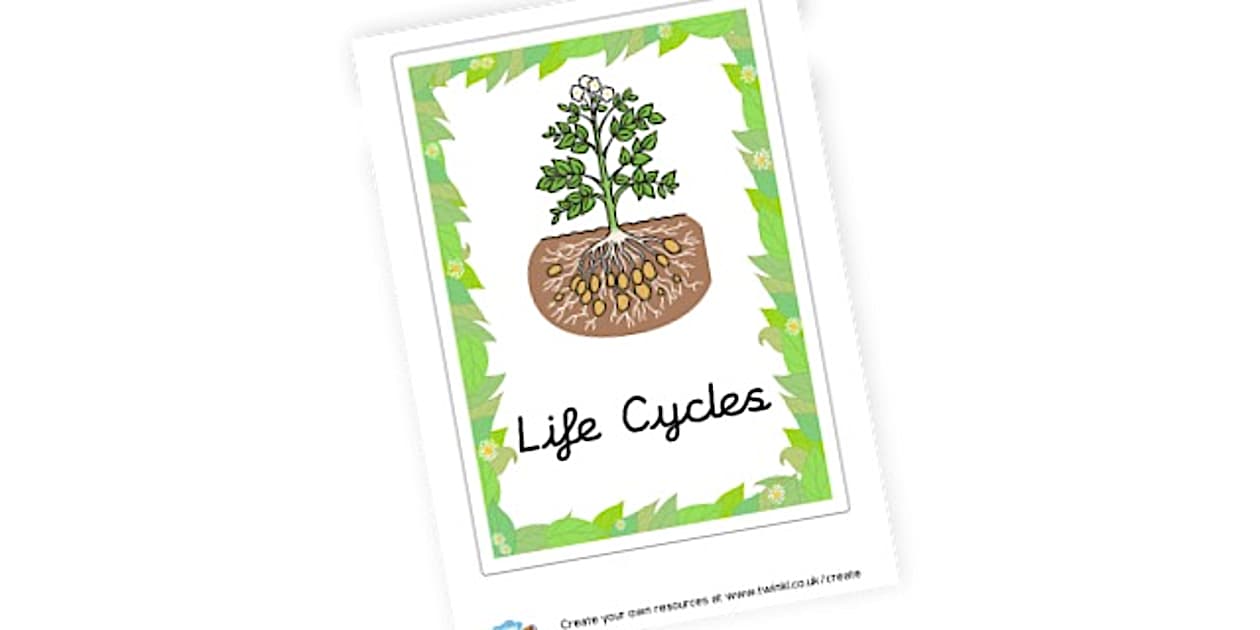 Life Cycles Topic Book Cover (teacher made) - Twinkl