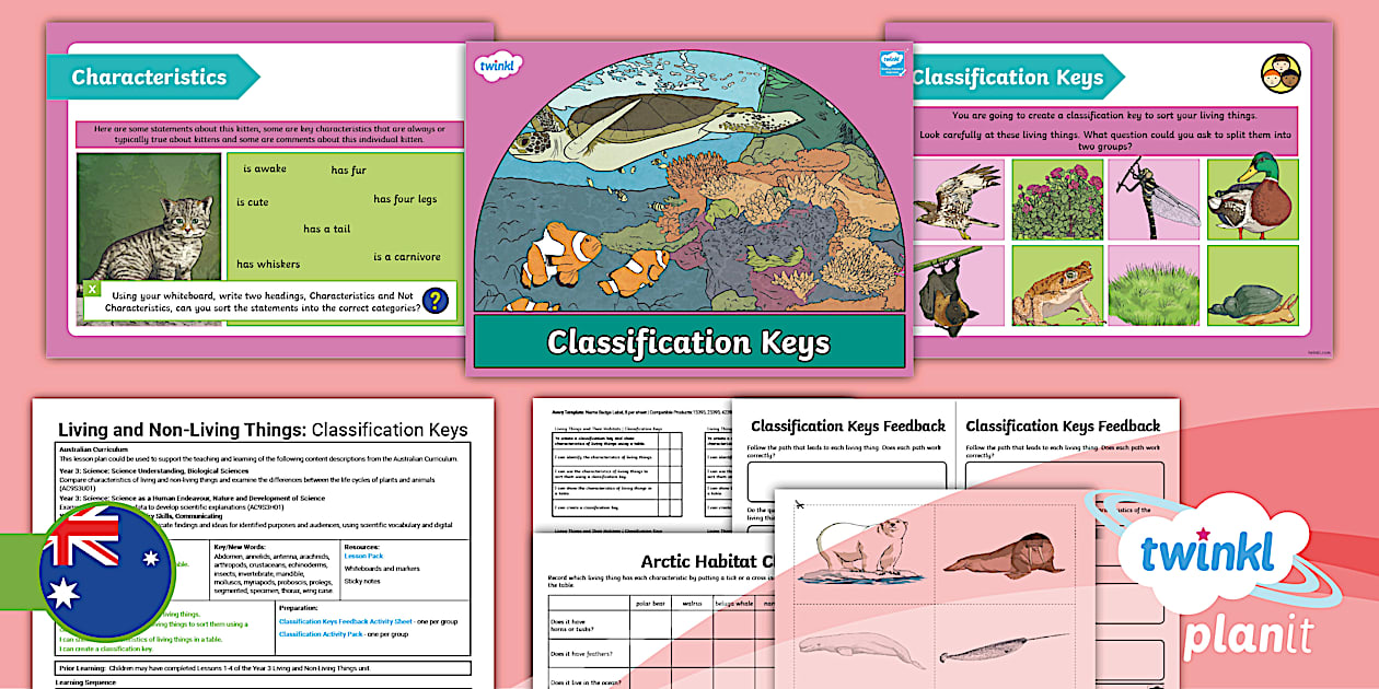Y3 Science Living and Non-Living Things Classification L5