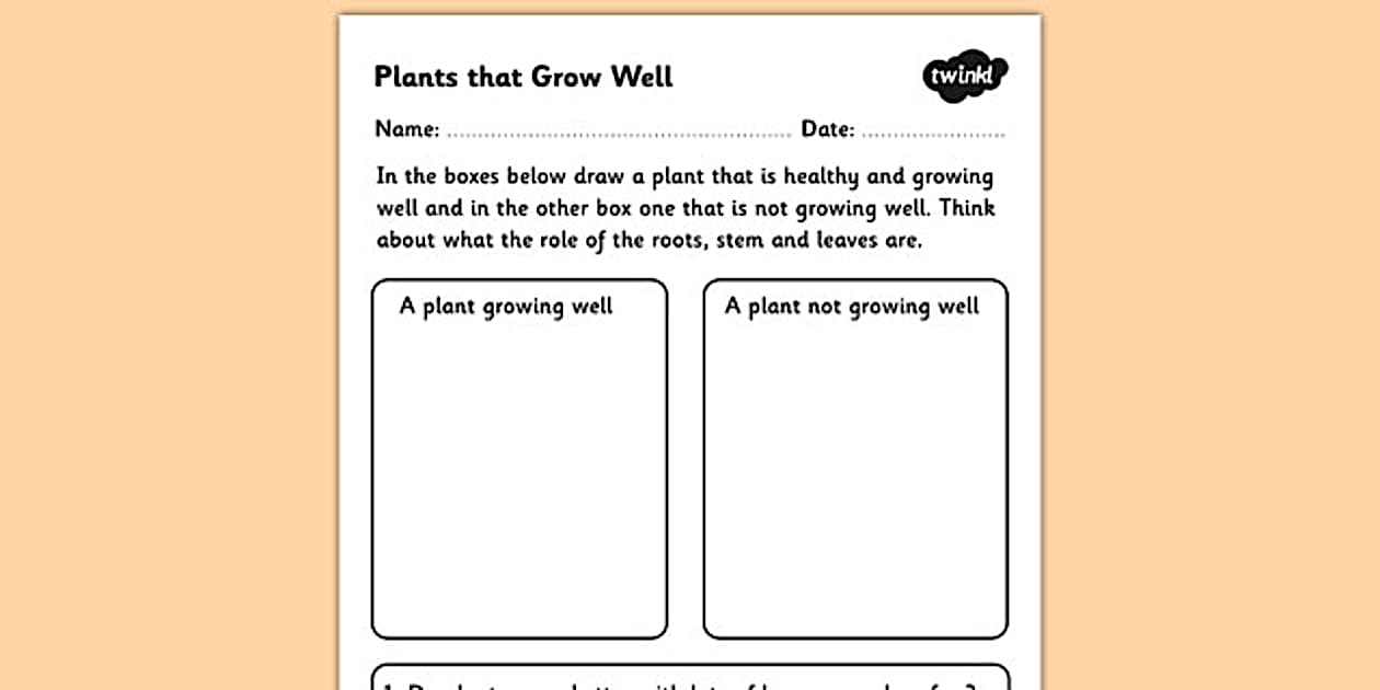 Plants That Grow Well Worksheet (Teacher-Made) - Twinkl