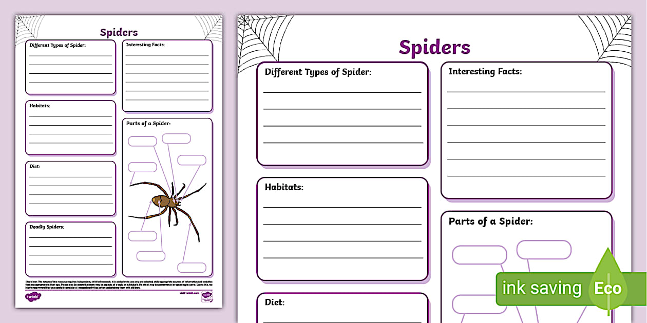 Spiders Fact File Template,all about spiders (teacher made)