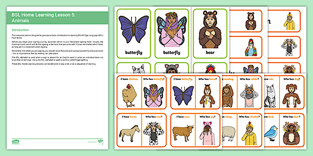 BSL Home Learning Lesson 5 - Animals (teacher made) - Twinkl