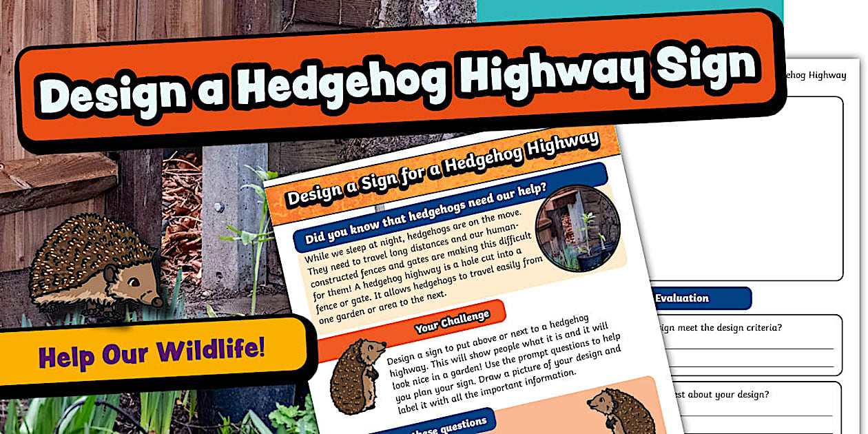 Design a Hedgehog Highway Sign