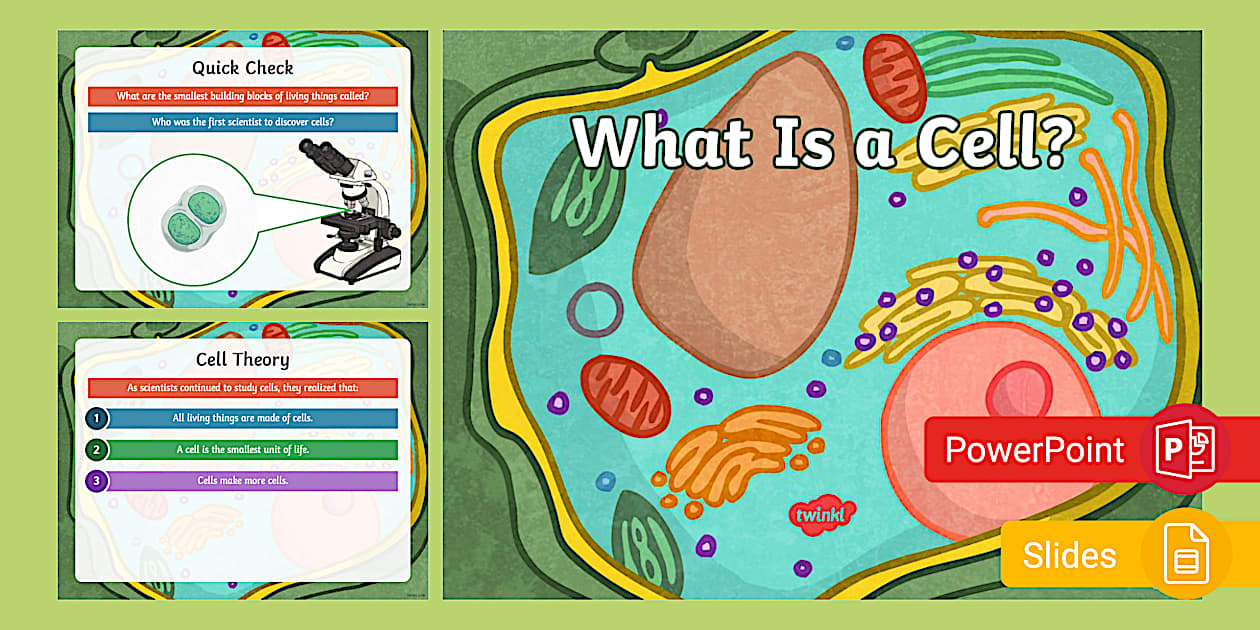 Cells PowerPoint | What Is a Cell? | Life Science | Twinkl