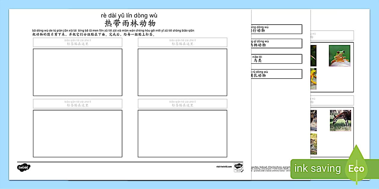 *Chinese with Pinyin Rainforest Animals Sorting Worksheet*