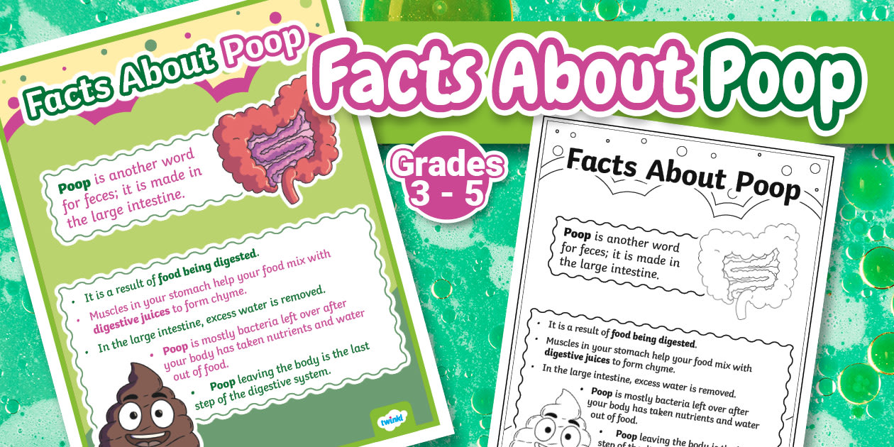 Facts About Poop Poster (nauczyciel wykonał) - Twinkl