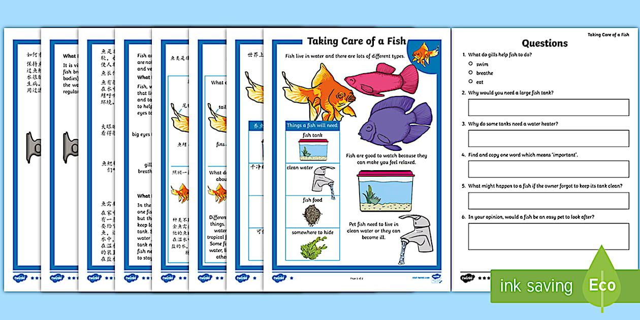 Higher Ability KS1 How to Look After a Fish Differentiated Comprehension Go