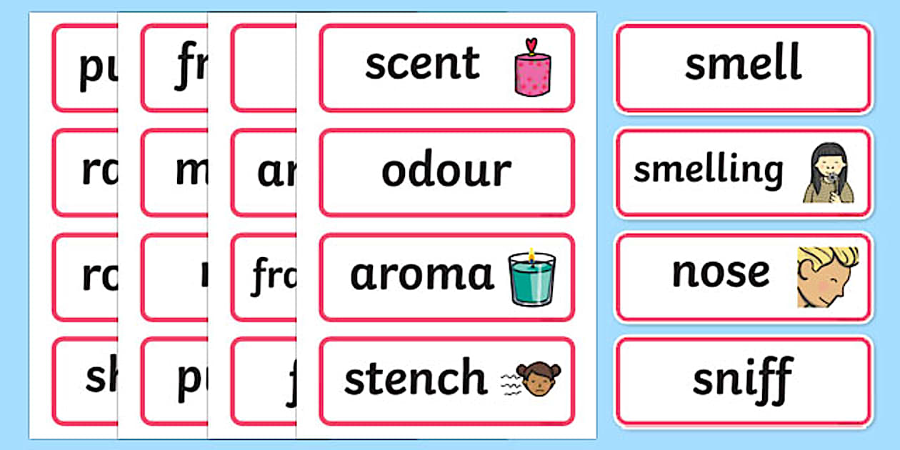 Smell Word Cards (teacher made) - Twinkl
