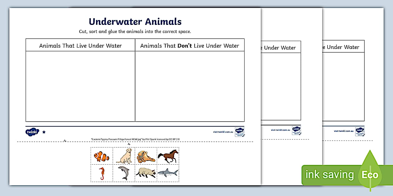 Underwater Animals Differentiated Cut and Paste Activity