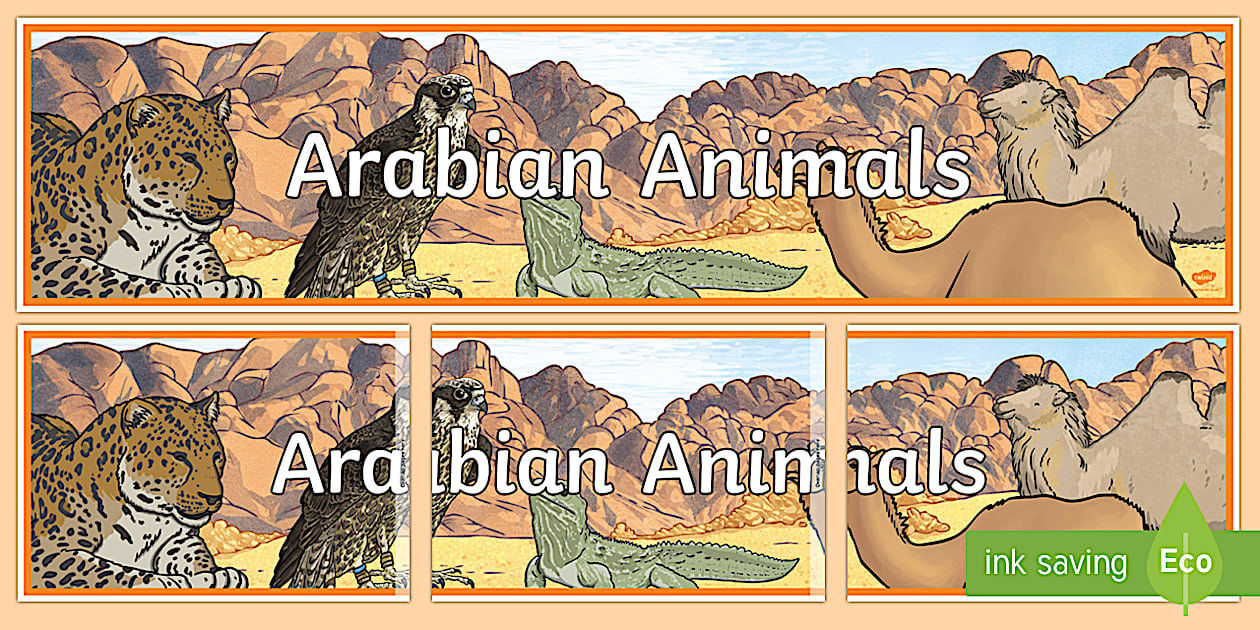 Arabian Animals Display Banner (teacher made) - Twinkl