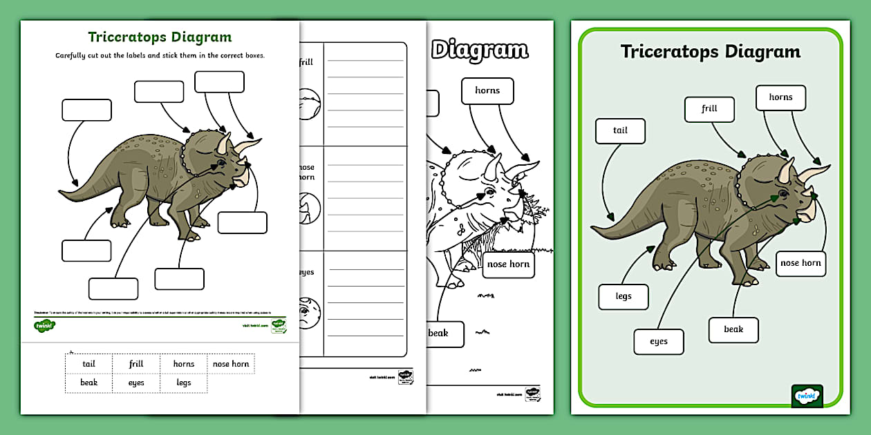 Triceratops Diagram Pack (teacher made) - Twinkl