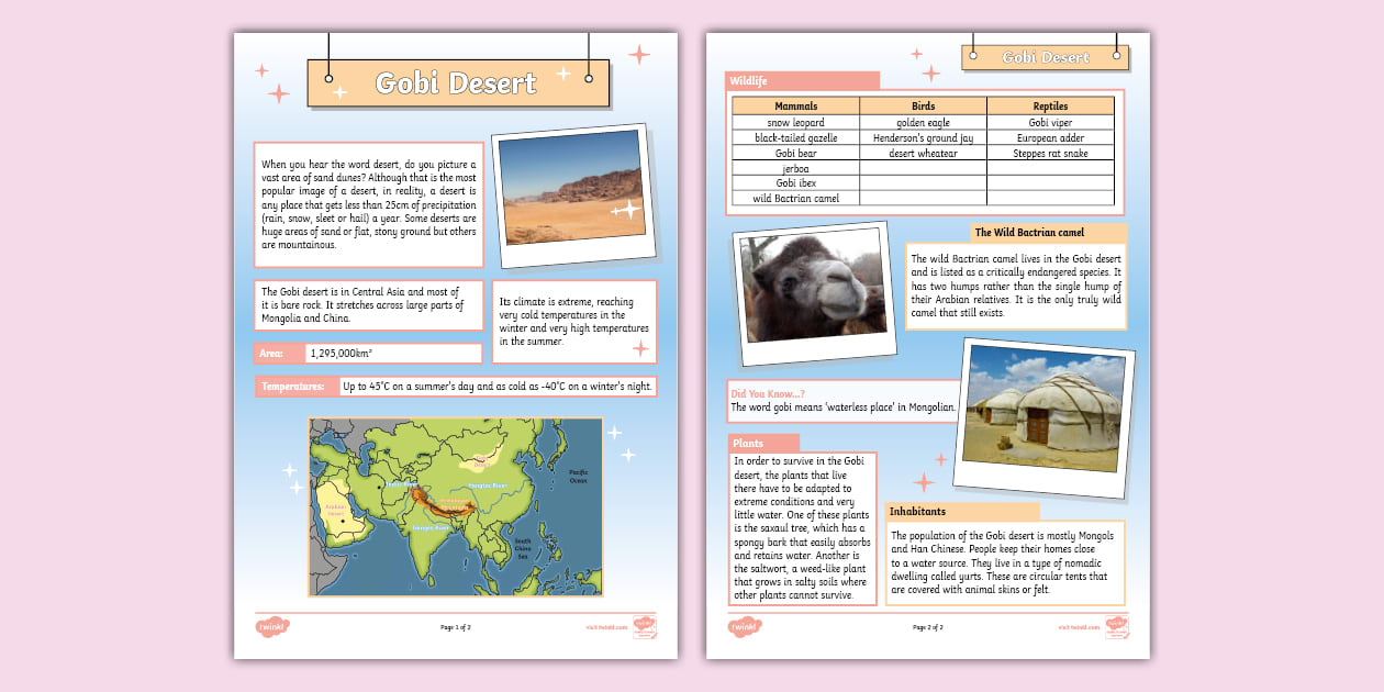 KS2 Gobi Desert Facts Resource (teacher made) - Twinkl