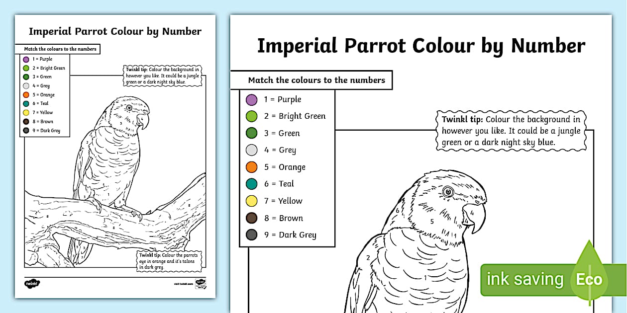 Imperial Parrot Colour-by-Number Worksheet | Twinkl | KS1