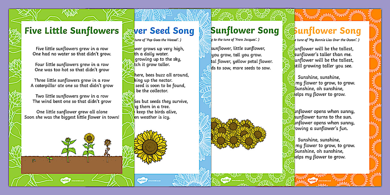 Sunflower Themed Songs and Rhymes Resource Pack - Twinkl