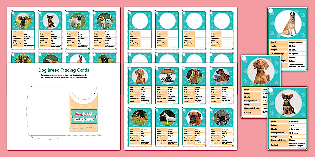 Dog Trading Cards | Teacher-Made Resouce | Twinkl USA
