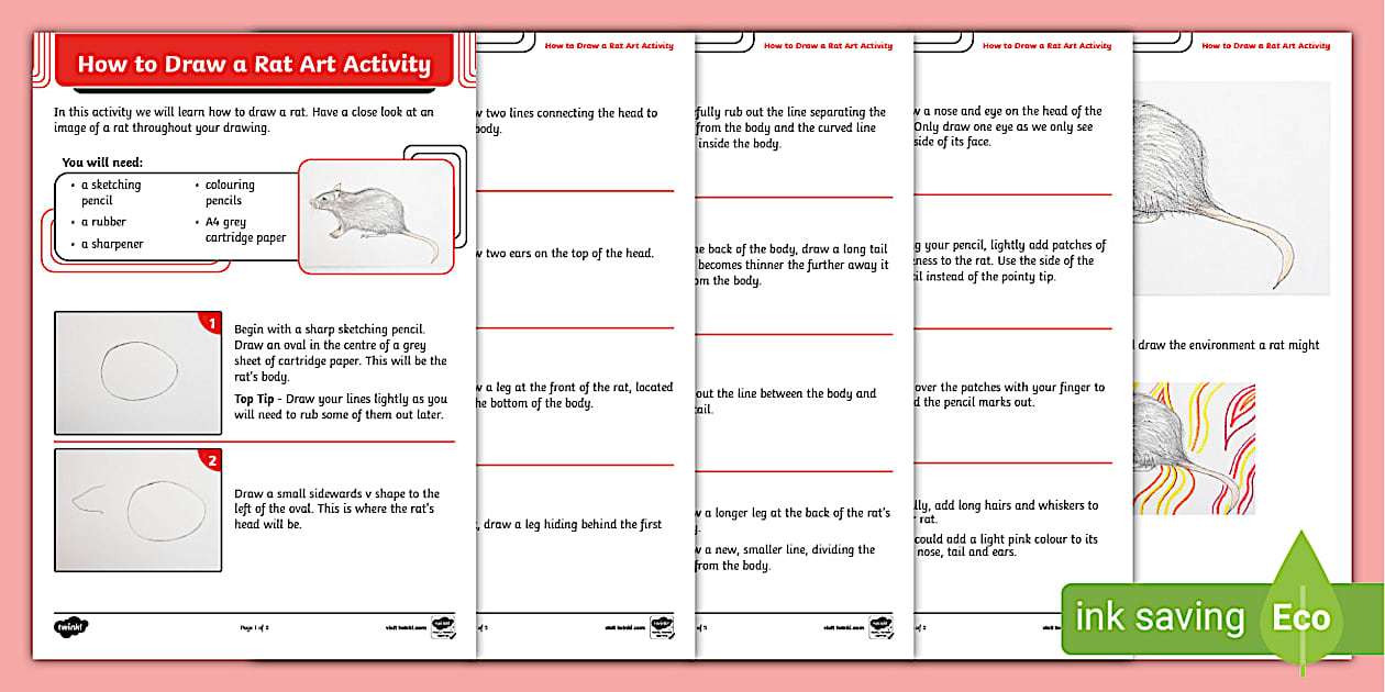 KS1 Drawing a Rat Art Activity (teacher made) - Twinkl
