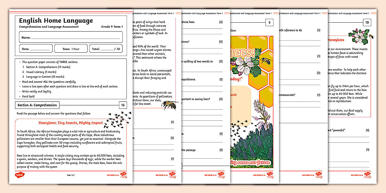 Grade 9 English Home Language: Comprehension and Language Assessment Term 1
