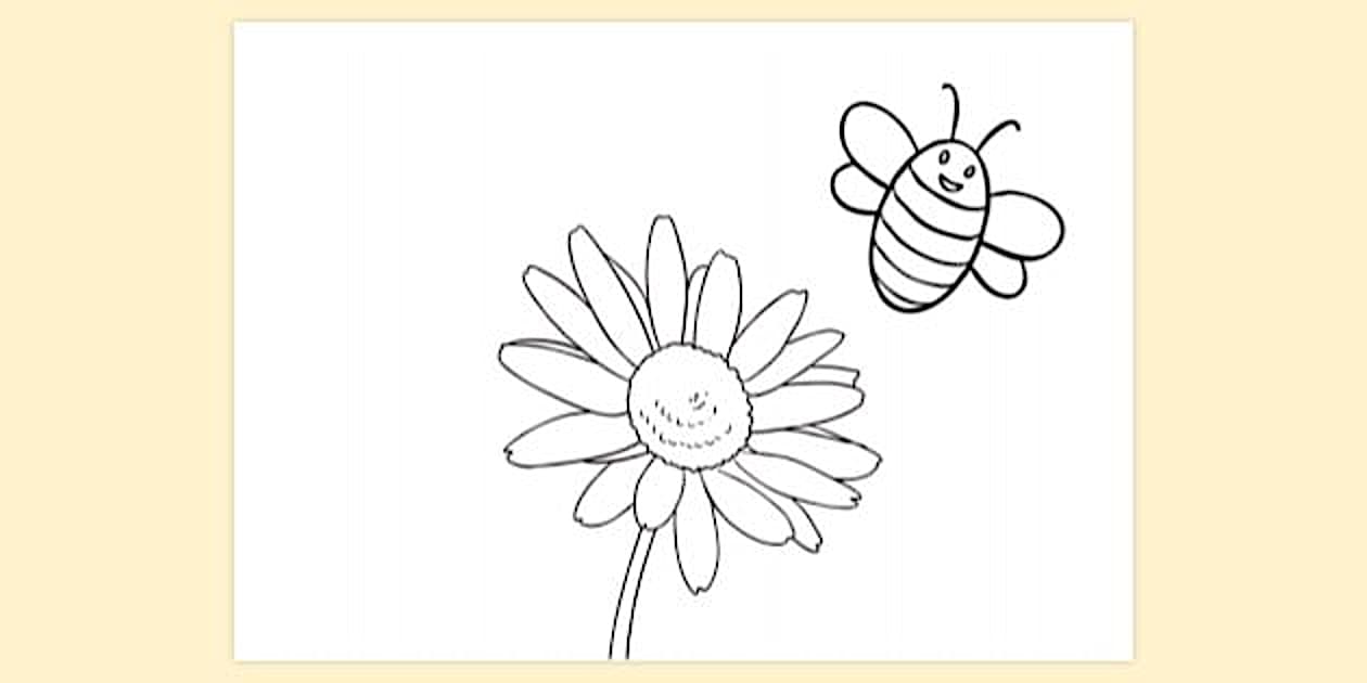 Bee Colouring Sheet - Colouring Sheets (teacher made)