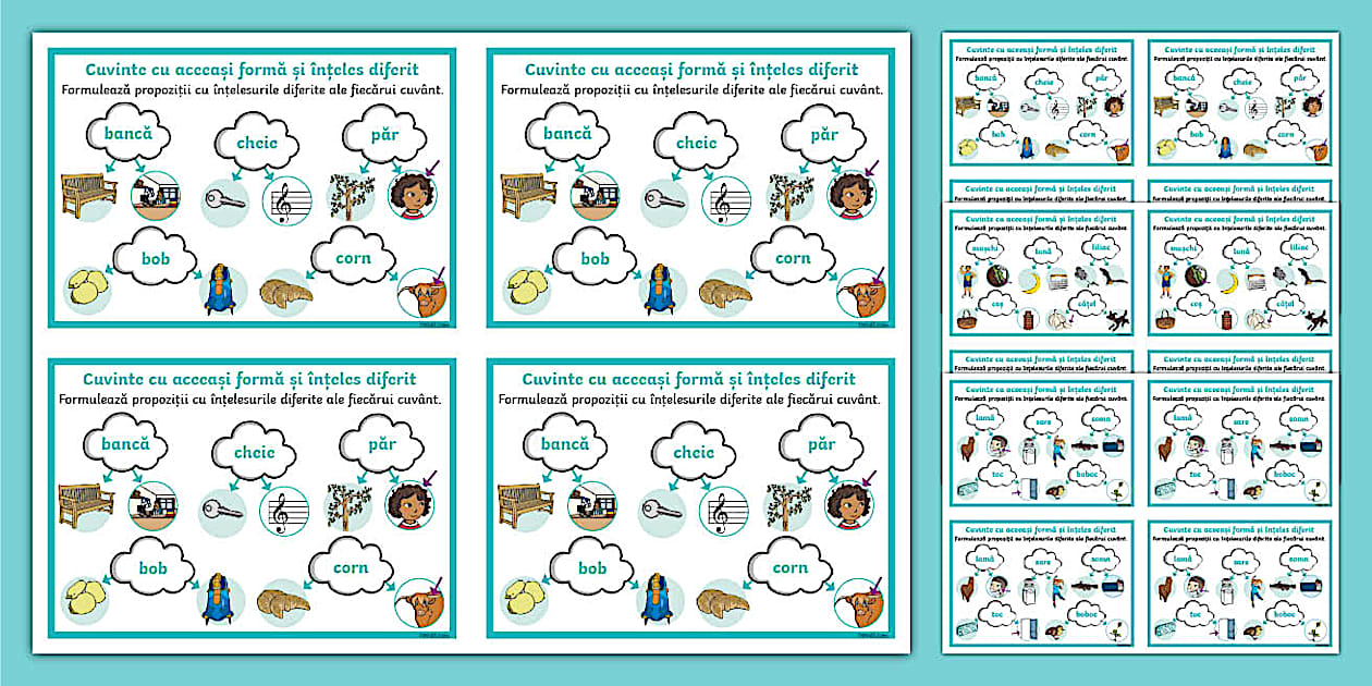 Aceeași formă, înțeles diferit. De la imagine la propoziție