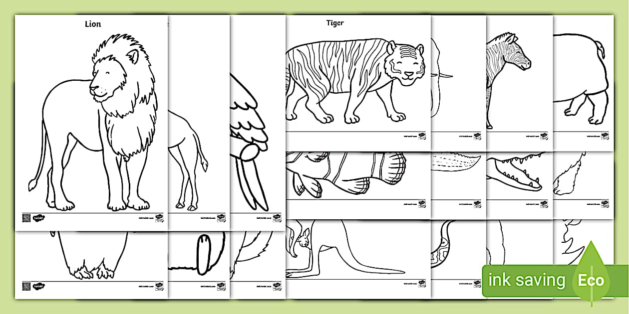 Editable Zoo Animals Colouring Pages (teacher made) - Twinkl