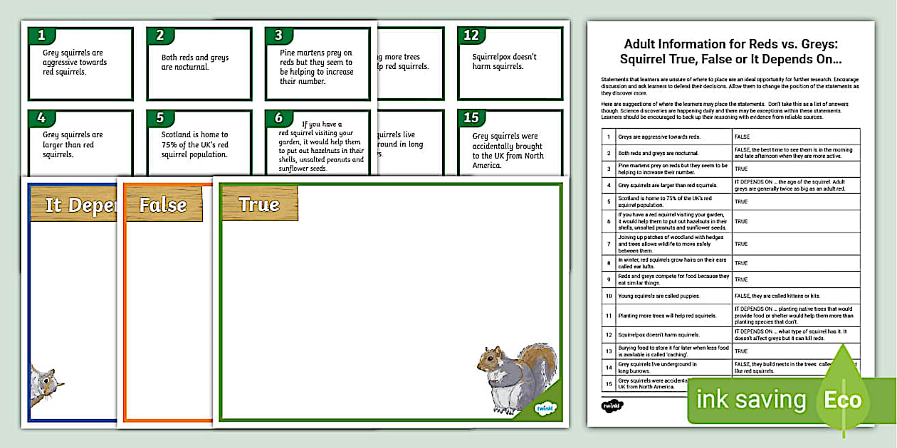 Red Squirrel Sorting Activity | Primary Resources | CfE