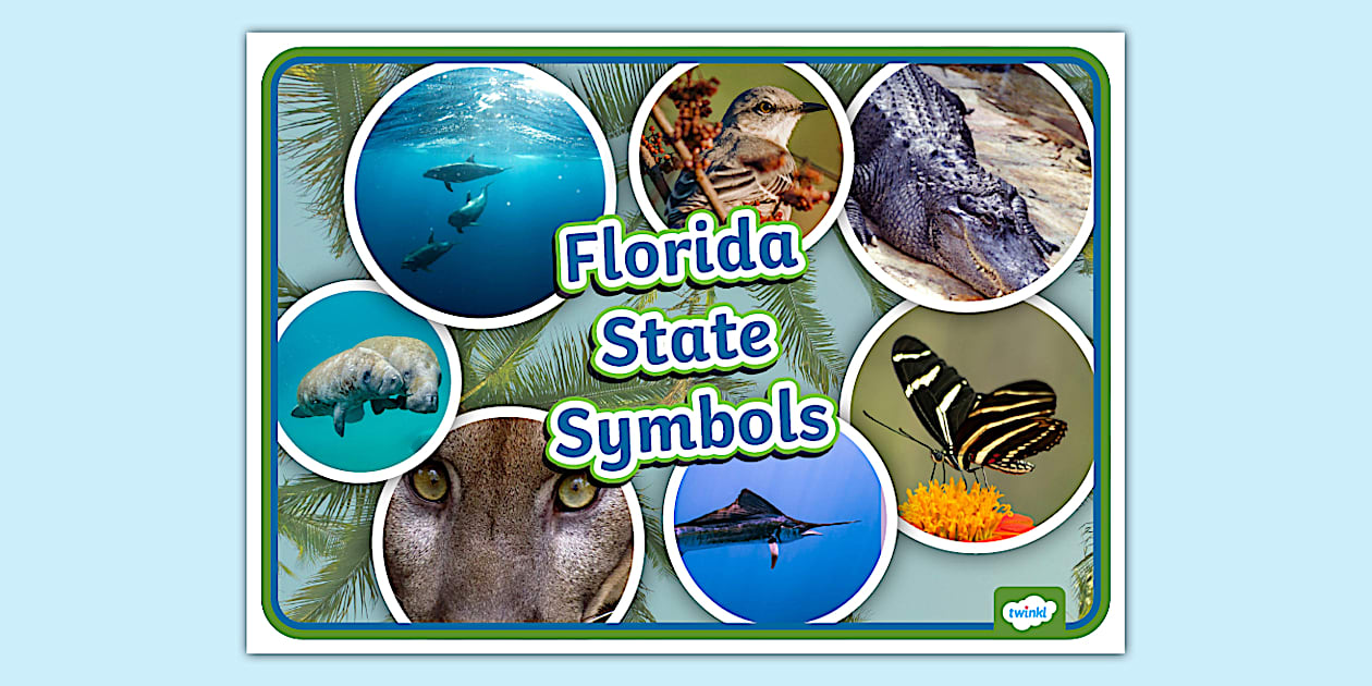 Florida State Symbols Photo Display Poster (Teacher-Made)
