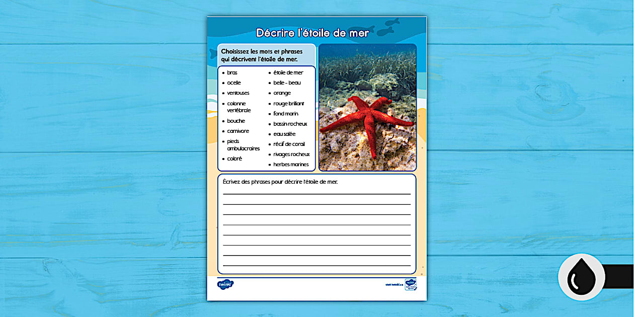 Describe the Starfish Writing Activity - French - Twinkl