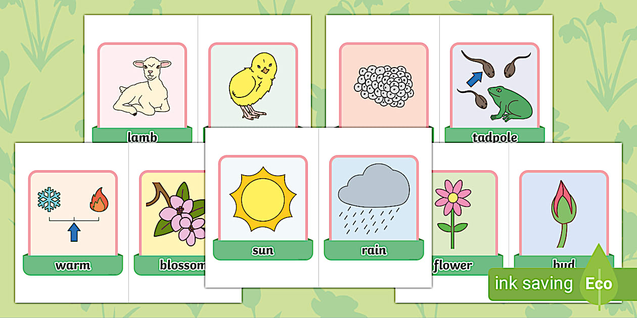 Twinkl Symbols: Spring Vocabulary Display Cut-Outs - Twinkl