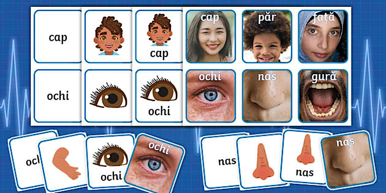 Părțile corpului uman – Cartonașe pereche - Twinkl