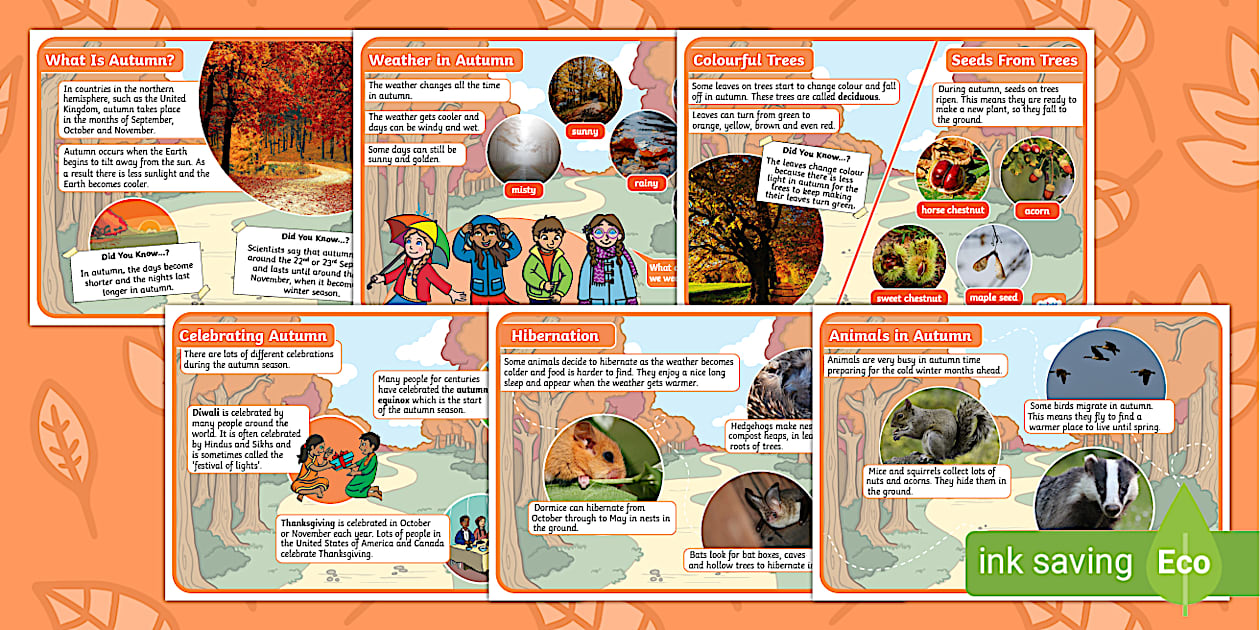 Kindergarten All About Autumn Fact Files | Twinkl - Twinkl