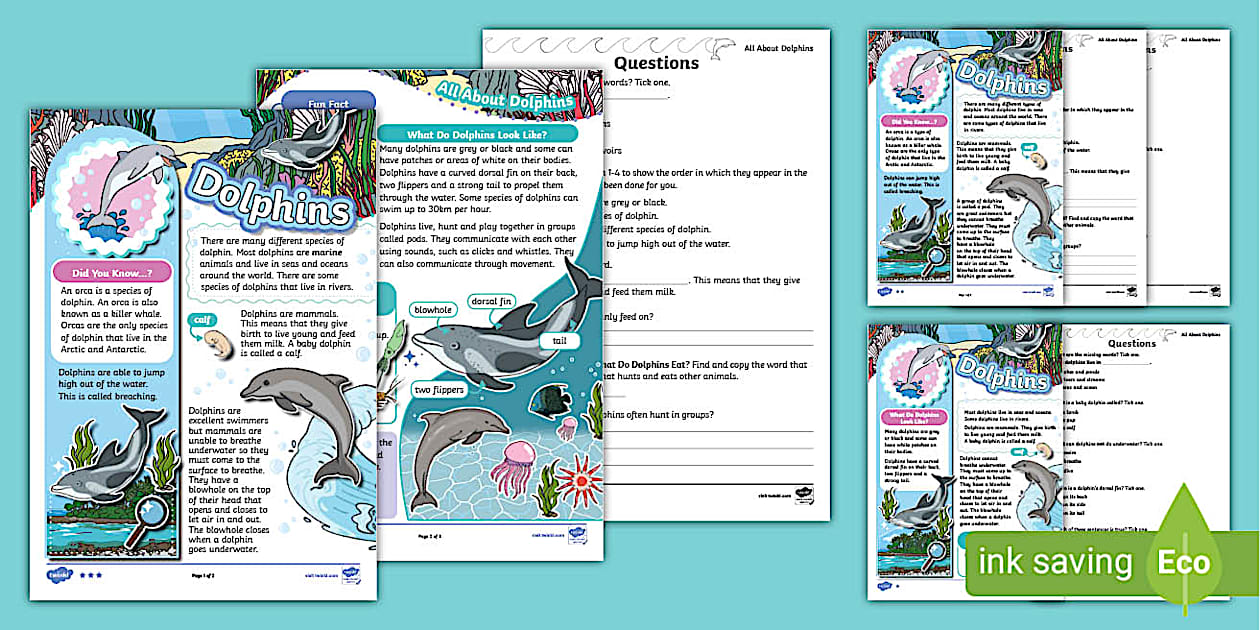 KS1 All About Dolphins Differentiated Reading Comprehension Activity