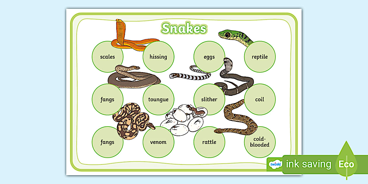 Snake Word Mat (teacher made) - Twinkl