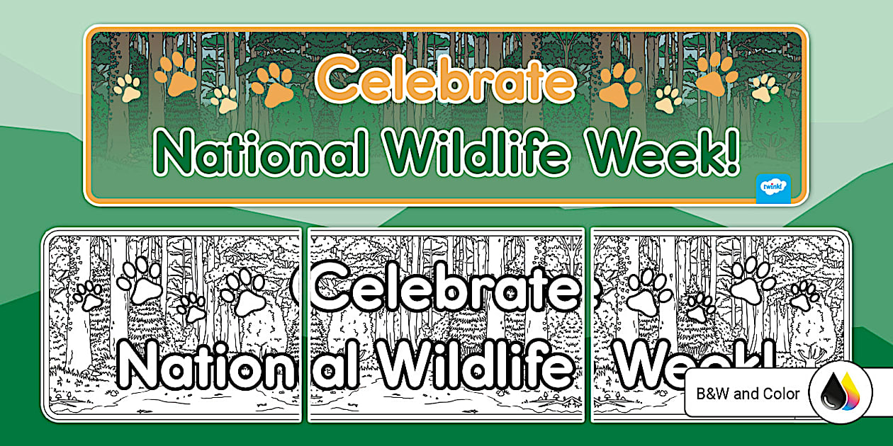 Printable National Wildlife Week Banner | Twinkl USA