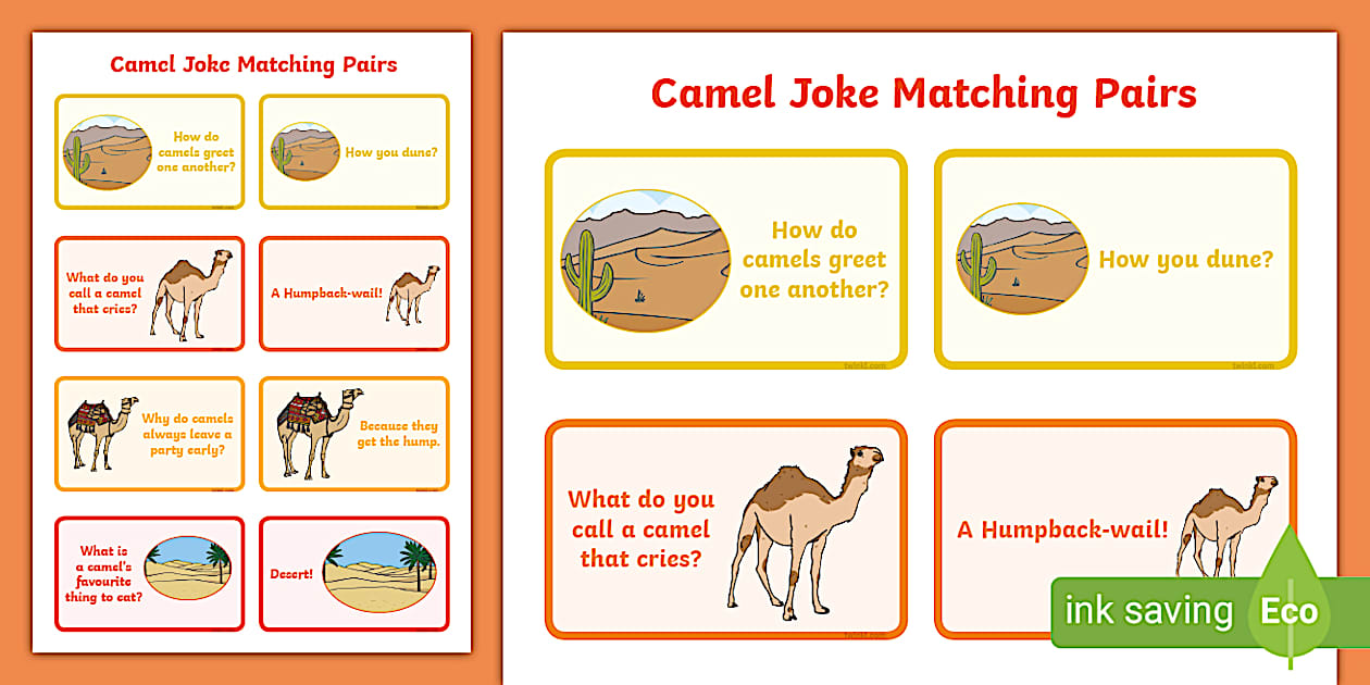 Camel Joke Matching Pairs (Teacher-Made) - Twinkl