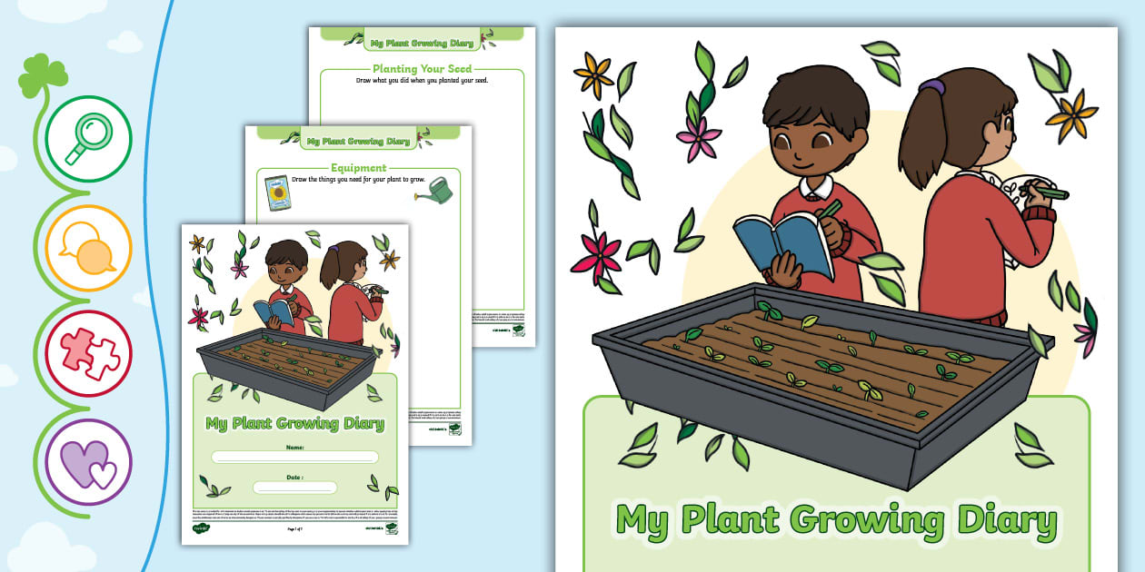 My Plant Growing Diary (teacher made) - Twinkl